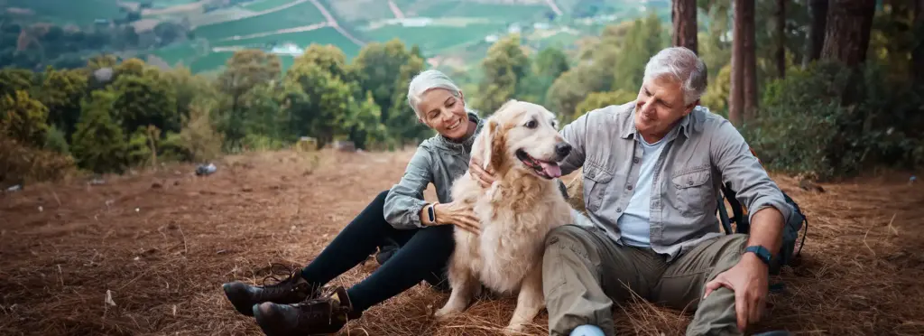 Insurance Wealth Mangement Advisors - Genesis